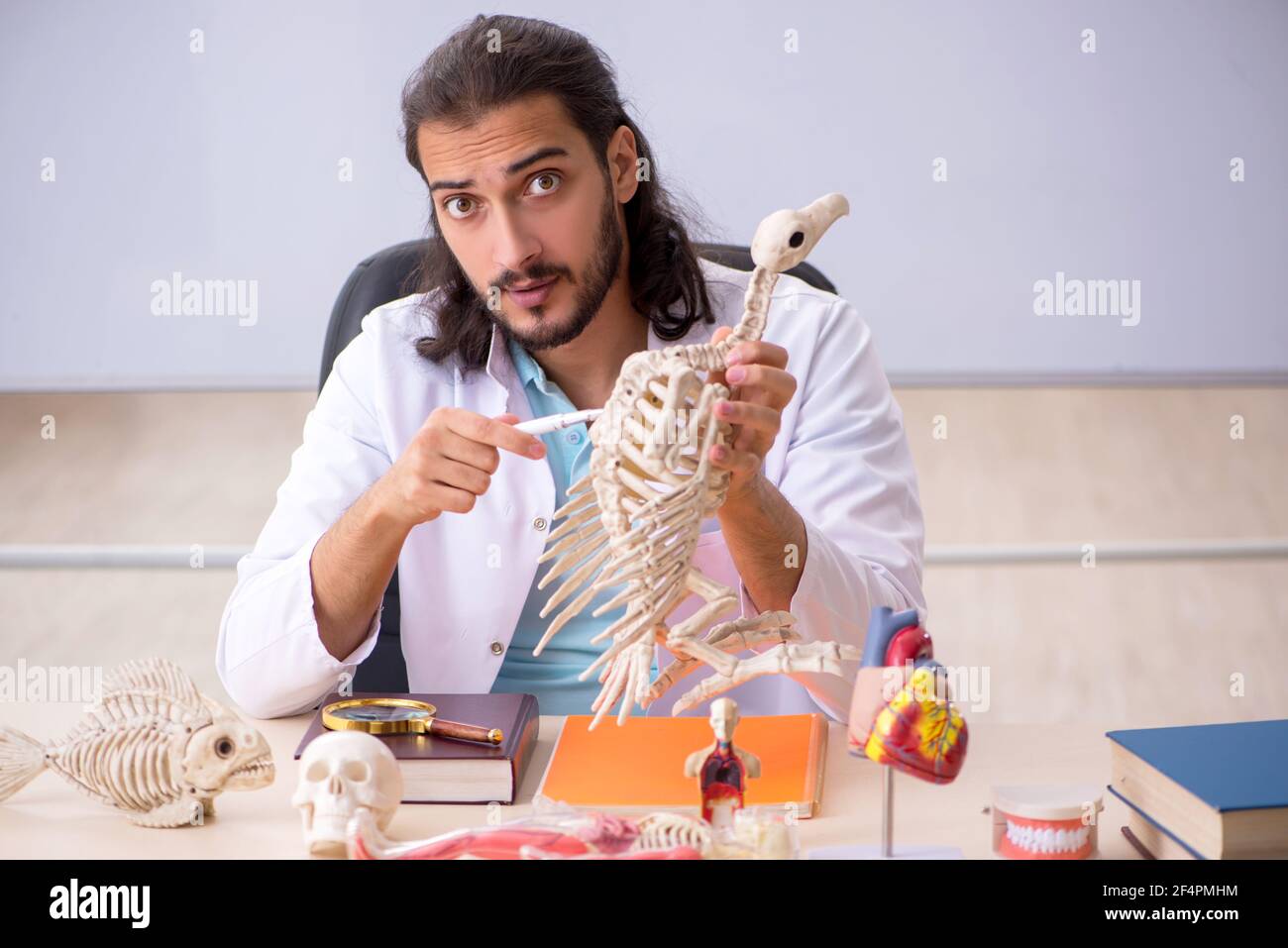 Young zoologist examining bird skeleton Stock Photo - Alamy