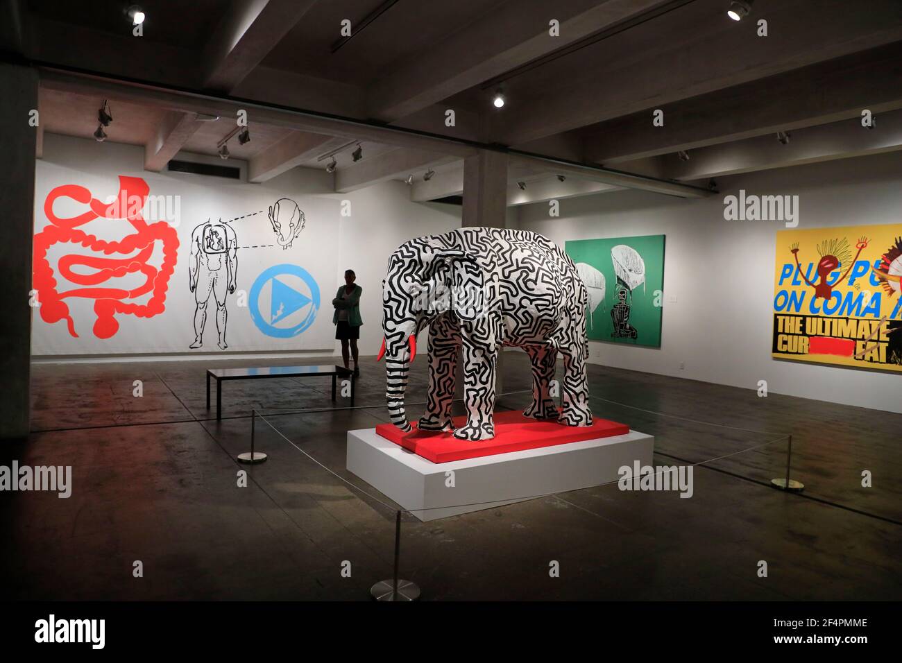 Keith Haring's Untitled Elephant display in the Andy Warhol Museum ...