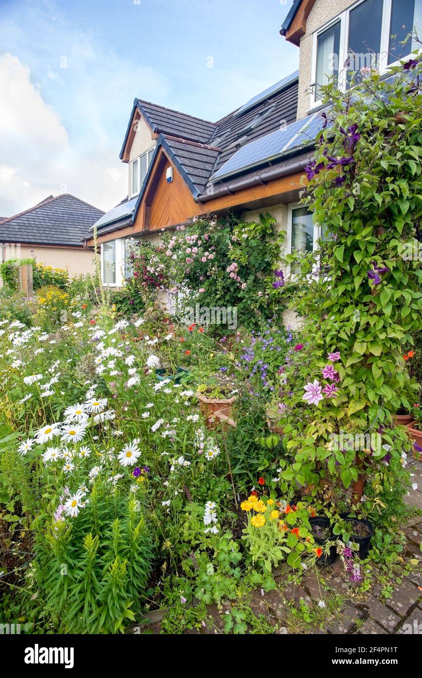 Cottage style border hi-res stock photography and images - Alamy