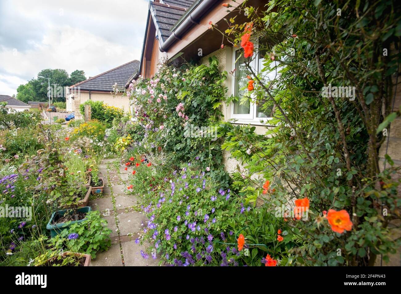 Cottage garden border uk hi-res stock photography and images - Alamy