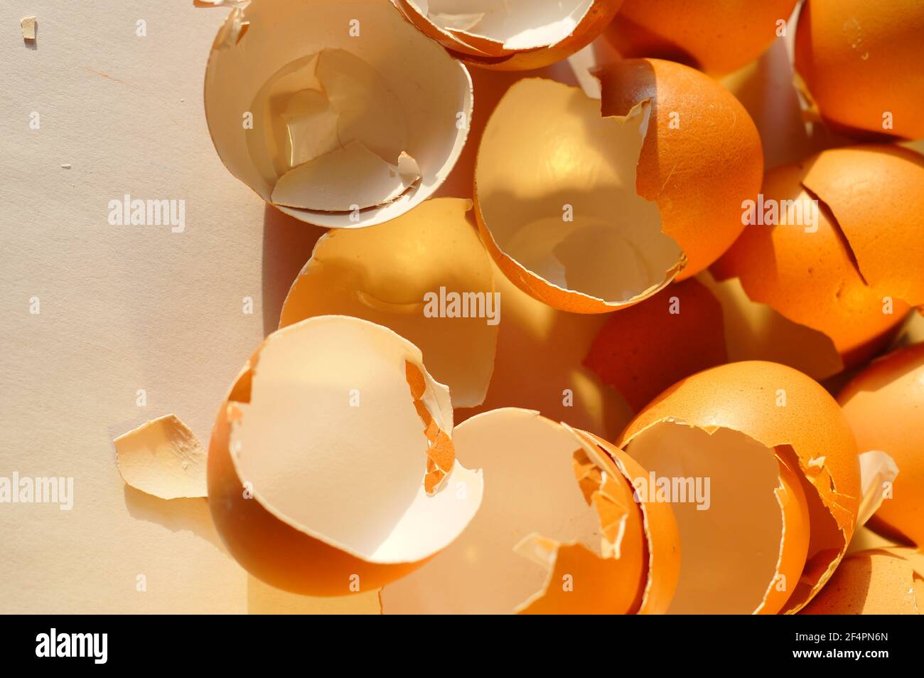 Chicken egg shells. Crushed chicken eggs. Natural compost - eggshells ...