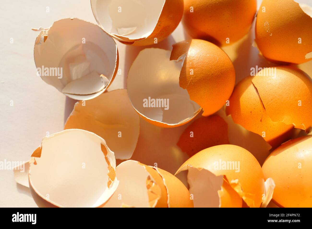 Chicken egg shells. Crushed chicken eggs. Natural compost - eggshells ...