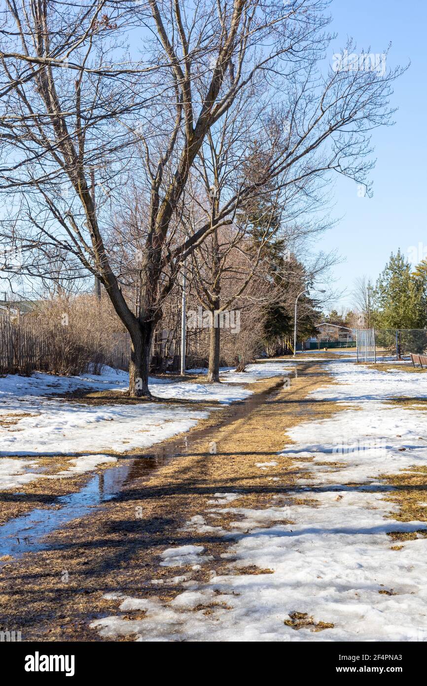 Thawed snow on ground hi-res stock photography and images - Alamy