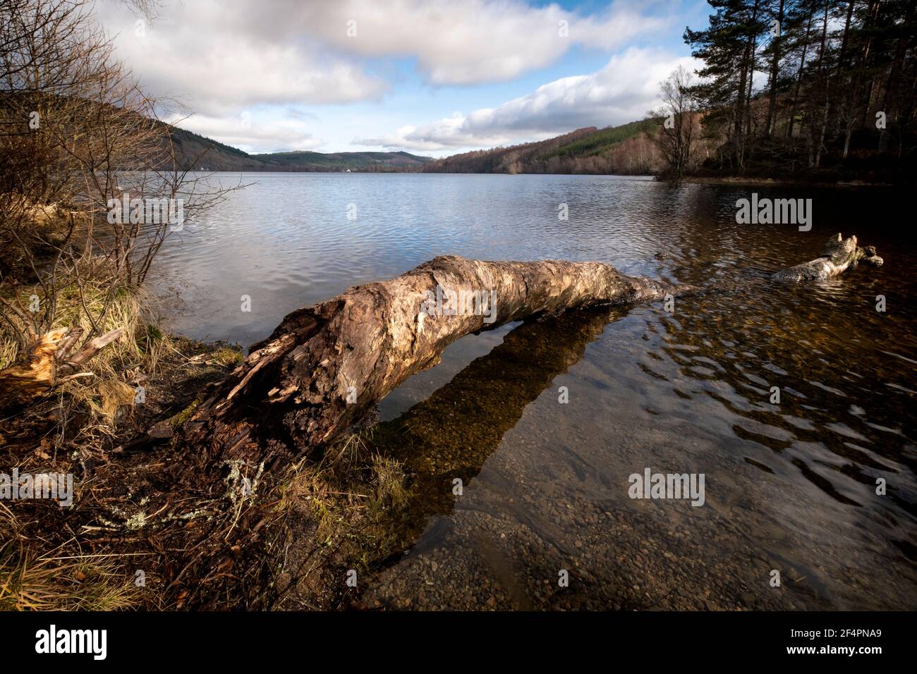 Subterranian hi-res stock photography and images - Alamy