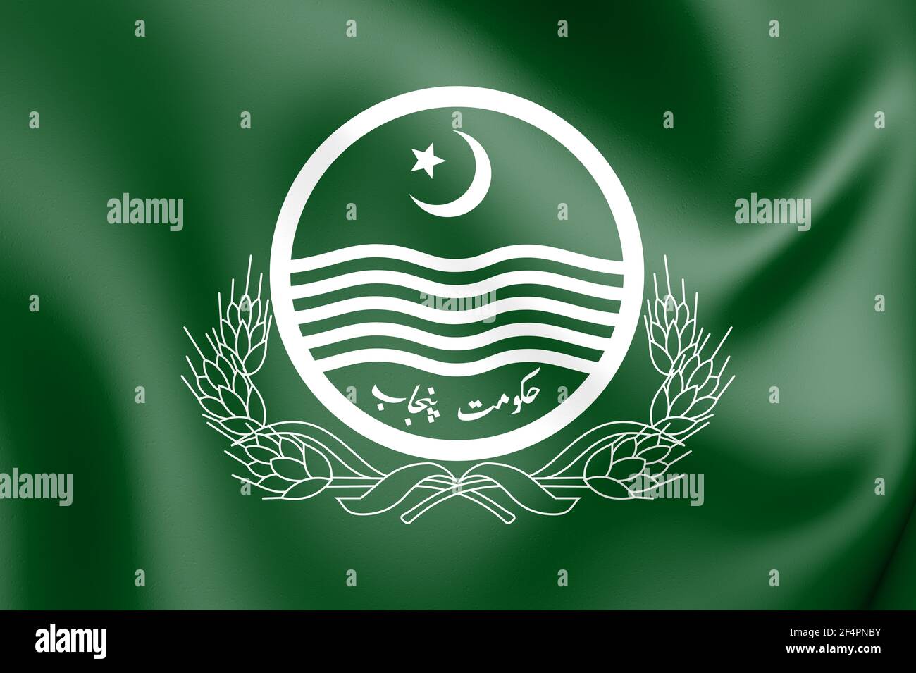 Govt Of Punjab Pakistan Logo