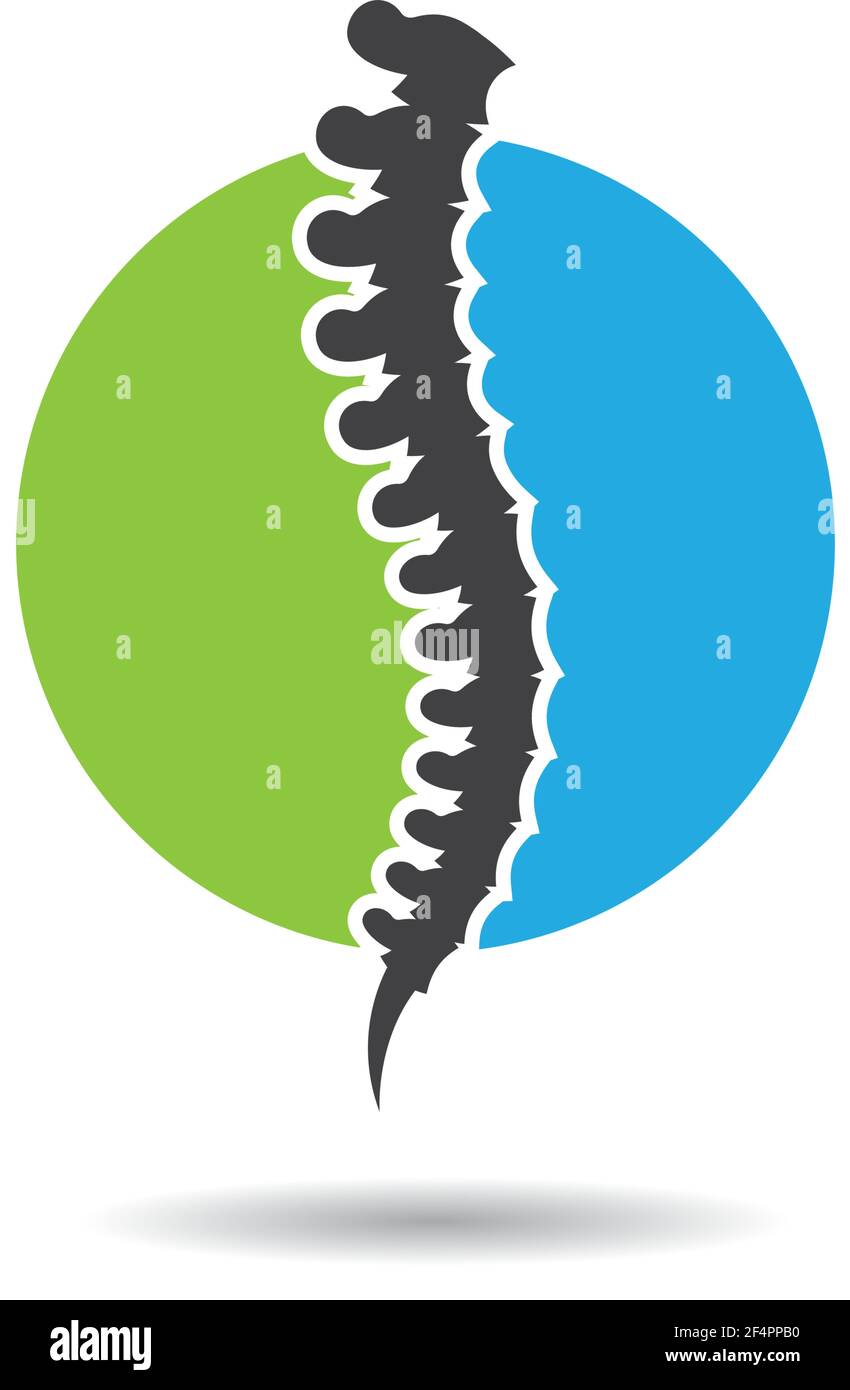 Spine logo images Stock Vector Image & Art - Alamy