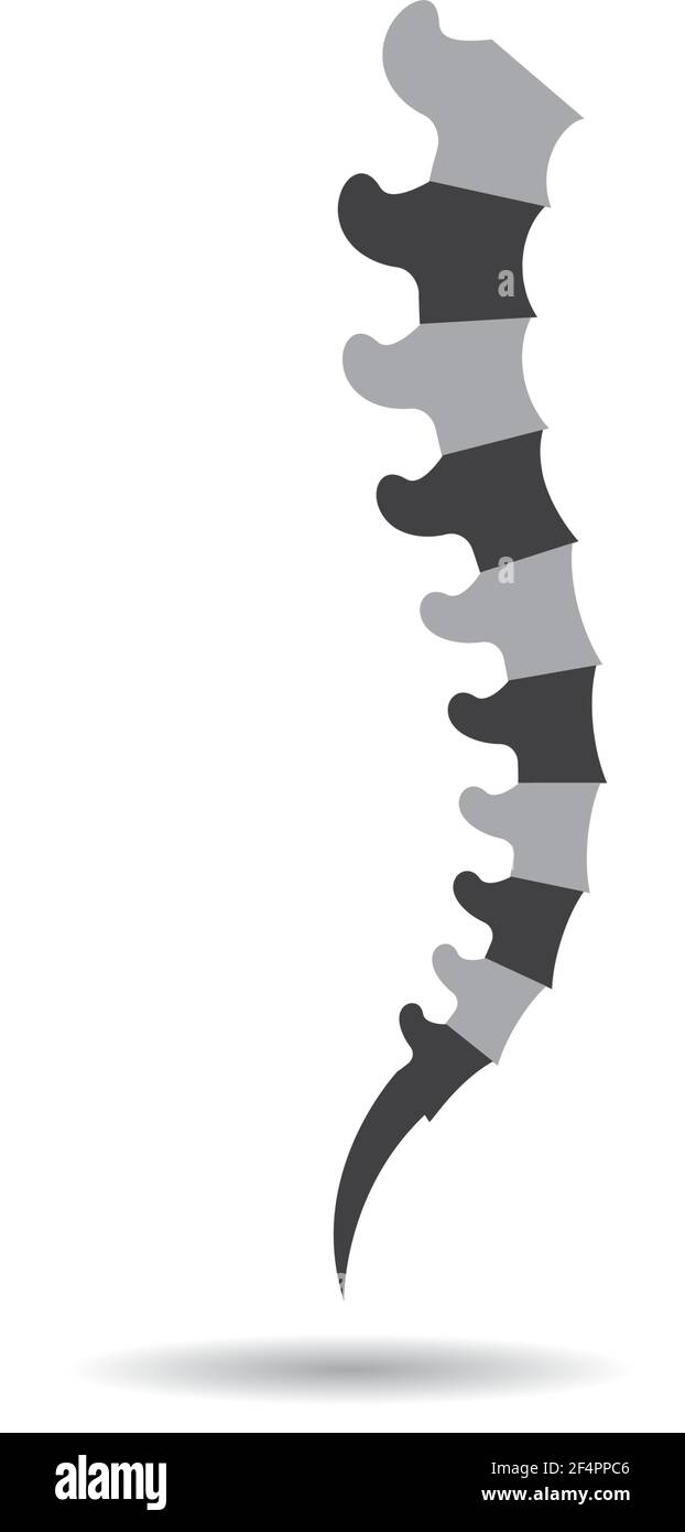 Spine logo images Stock Vector Image & Art - Alamy