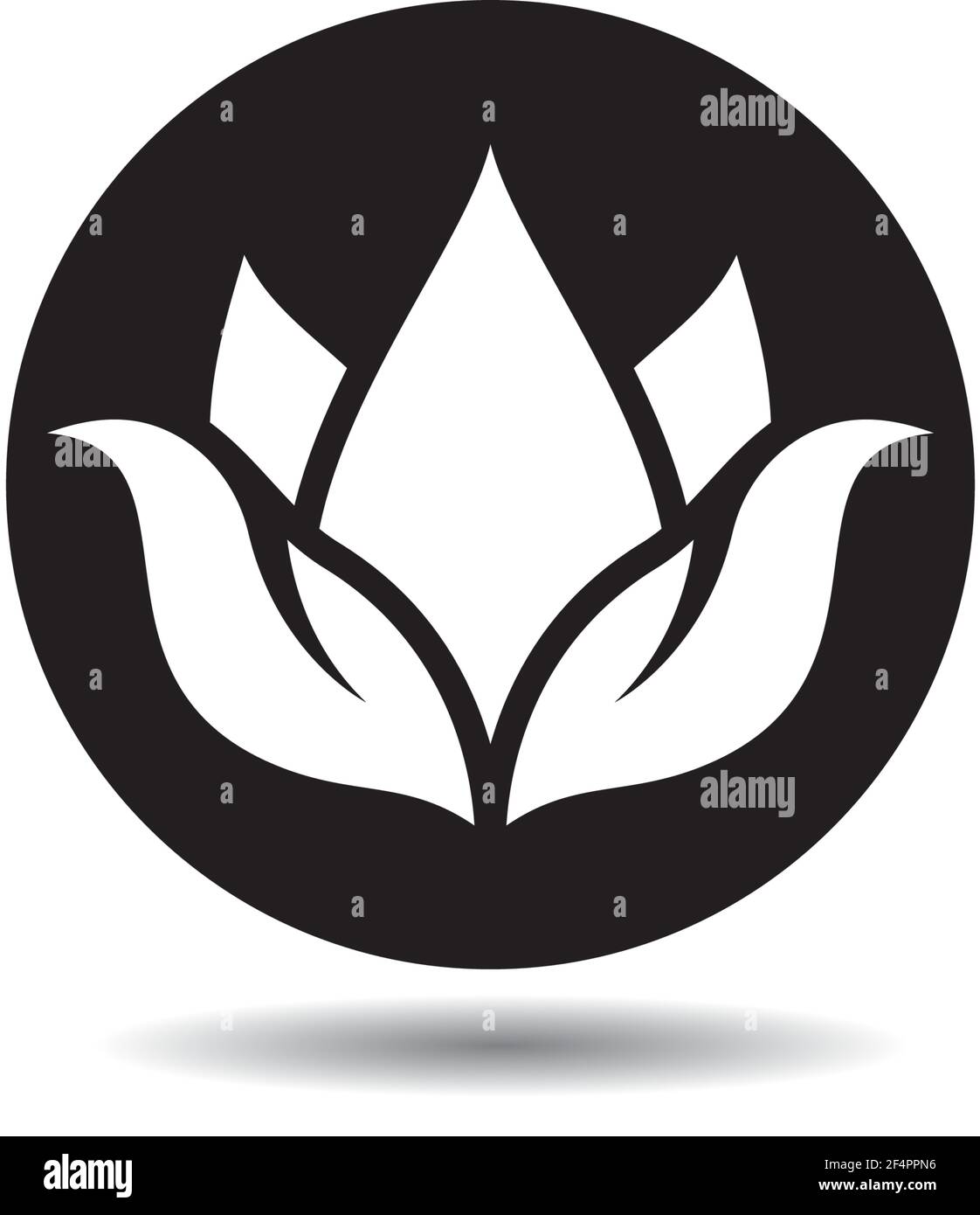 Luxury golden lotus flower Cut Out Stock Images & Pictures - Alamy