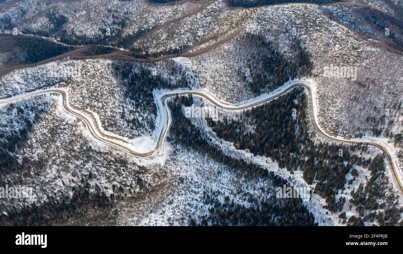 Taiga Forests High Resolution Stock Photography and Images - Alamy
