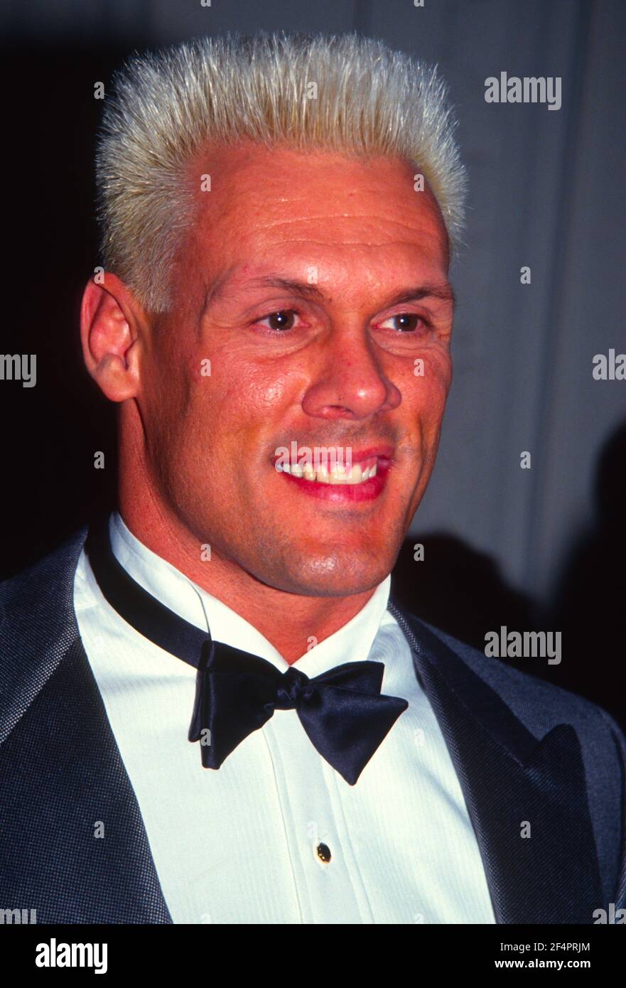 Sting 1991 Photo By John Barrett/PHOTOlink / MediaPunch Stock Photo - Alamy