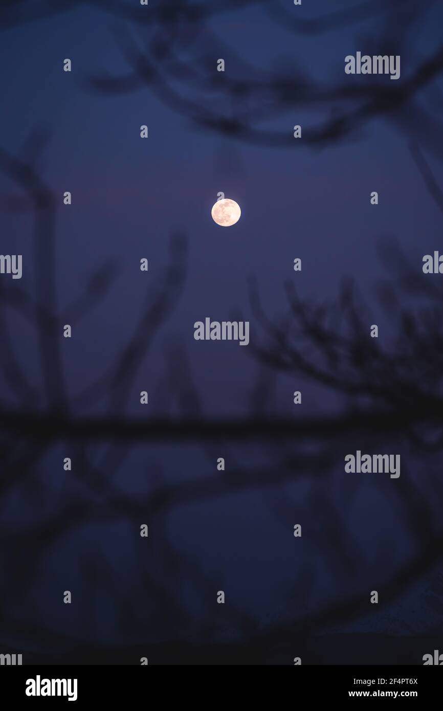 Full moon cloudless night sky hi-res stock photography and images - Alamy