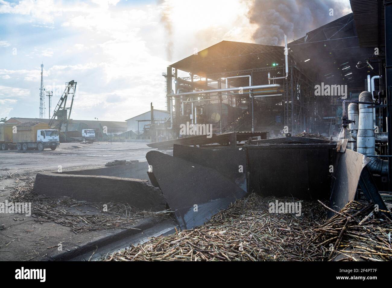 Some sugar factories in Venezuela are stopping work due to the shortage ...