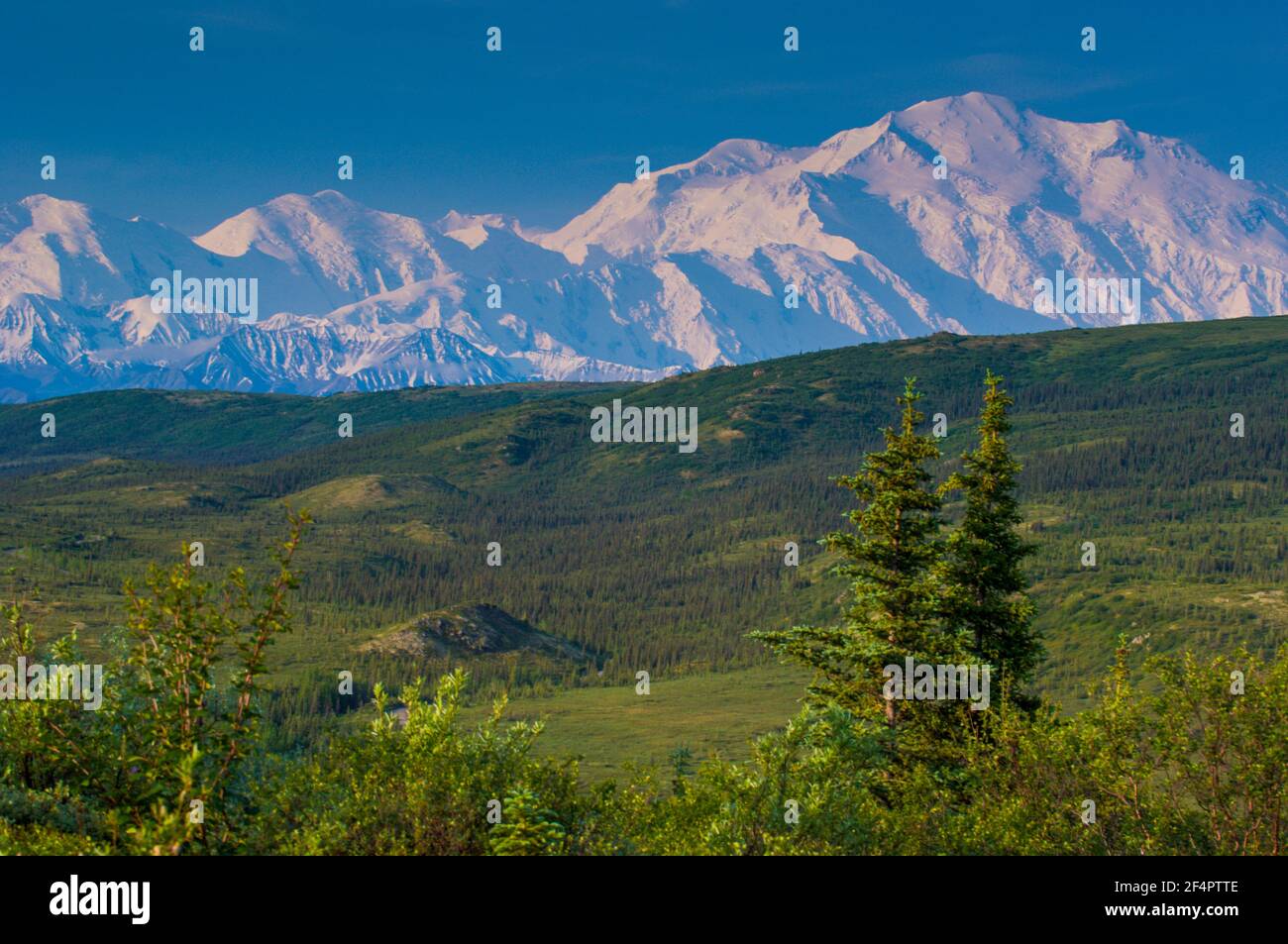 MOUNT DENALI (Mt. McKinley) in Denali National Park, Alaska, USA Stock ...