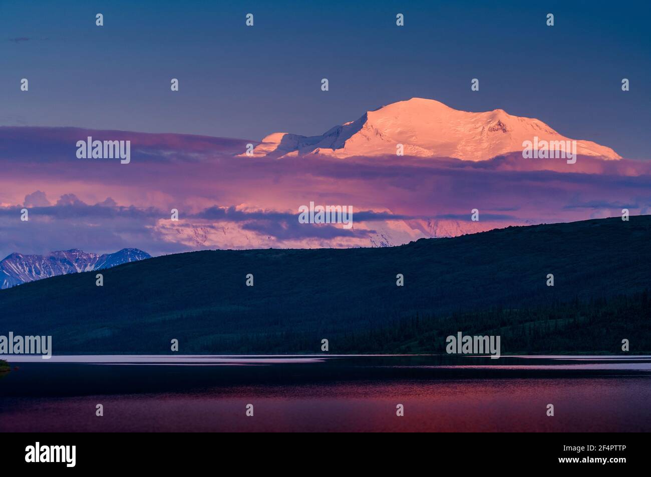 MOUNT DENALI (Mt. McKinley) with alpenglow in Denali National Park ...