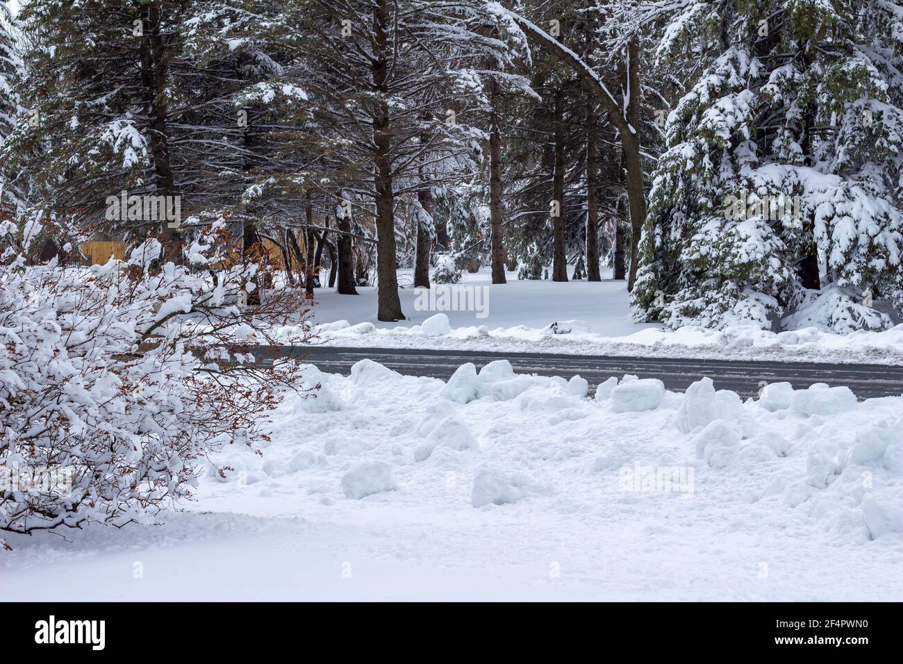 Winter snow landscape with a plowed road through an area of deep snow ...