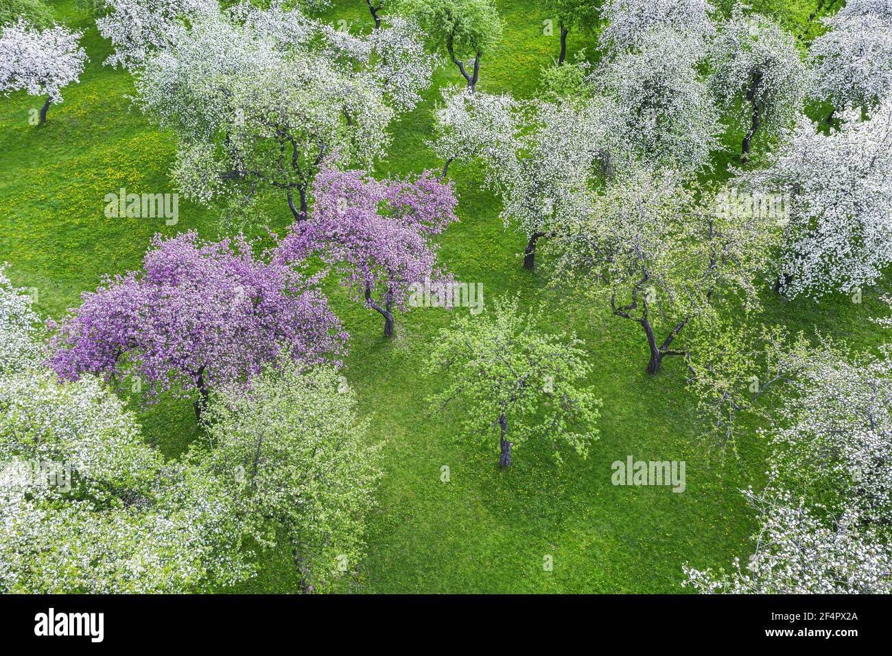 Fruit aerial hi-res stock photography and images - Alamy