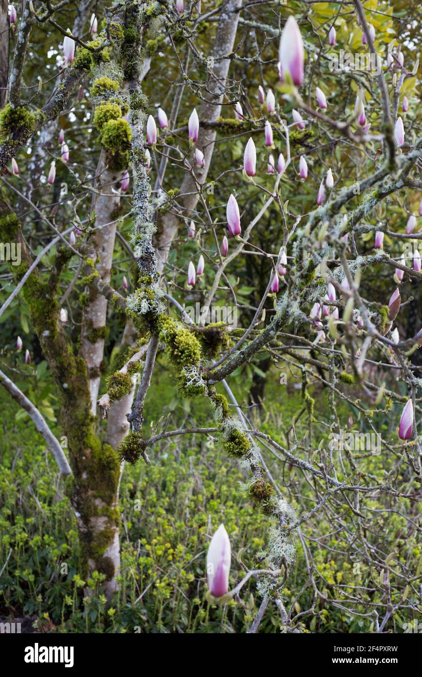 Mark jury hi-res stock photography and images - Alamy