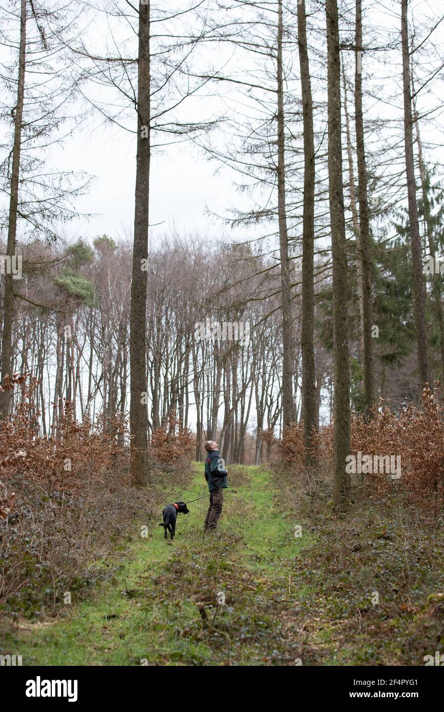 Belm, Germany. 16th Mar, 2021. Forester Sven Gerling from the Lower ...