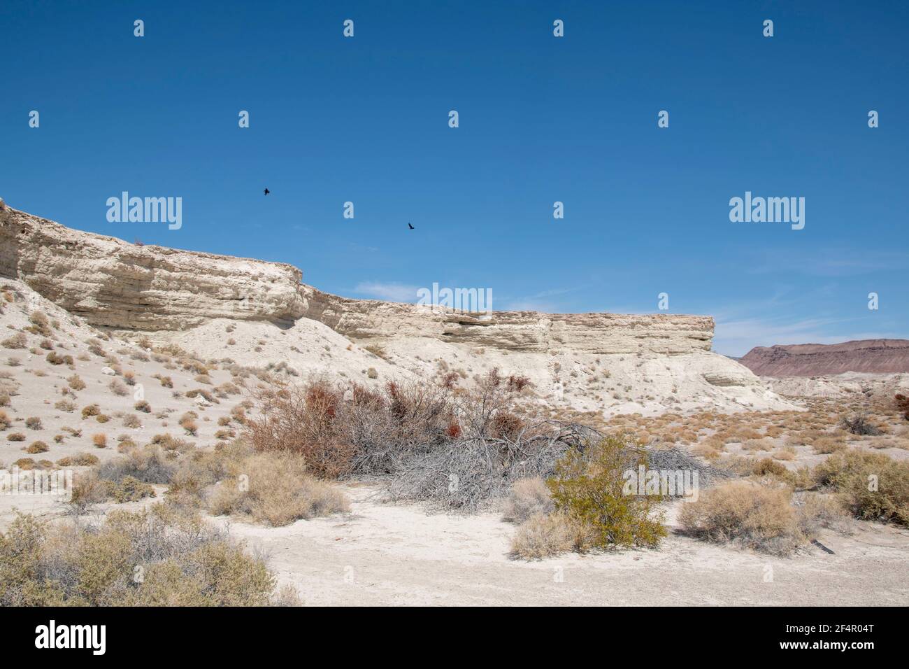 Shoshone is a tiny town near Death Valley National Park, but it ...