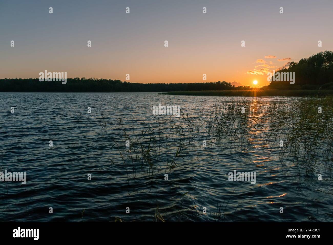 Setting sun on a lake on a summer evening - beautiful landscape Stock ...
