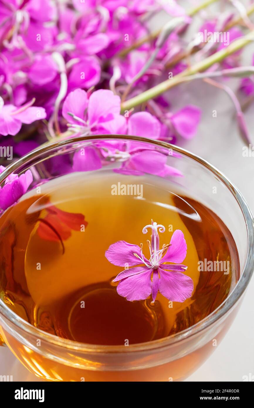 Fireweed herb known as blooming sally and tea in a cup, vertical Stock ...