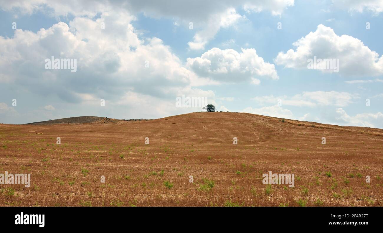 Landscape of brownfield under a cloudy sky Stock Photo - Alamy
