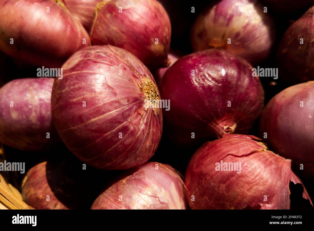 Close up view pile onions hi-res stock photography and images - Alamy