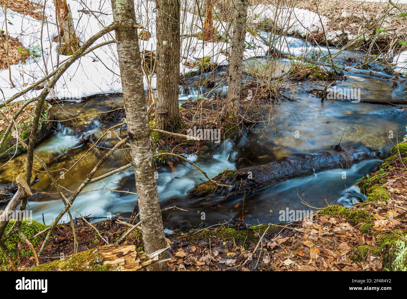 Three Brothers Waterfalls and Conservation Area Kinmount Haliburton ...