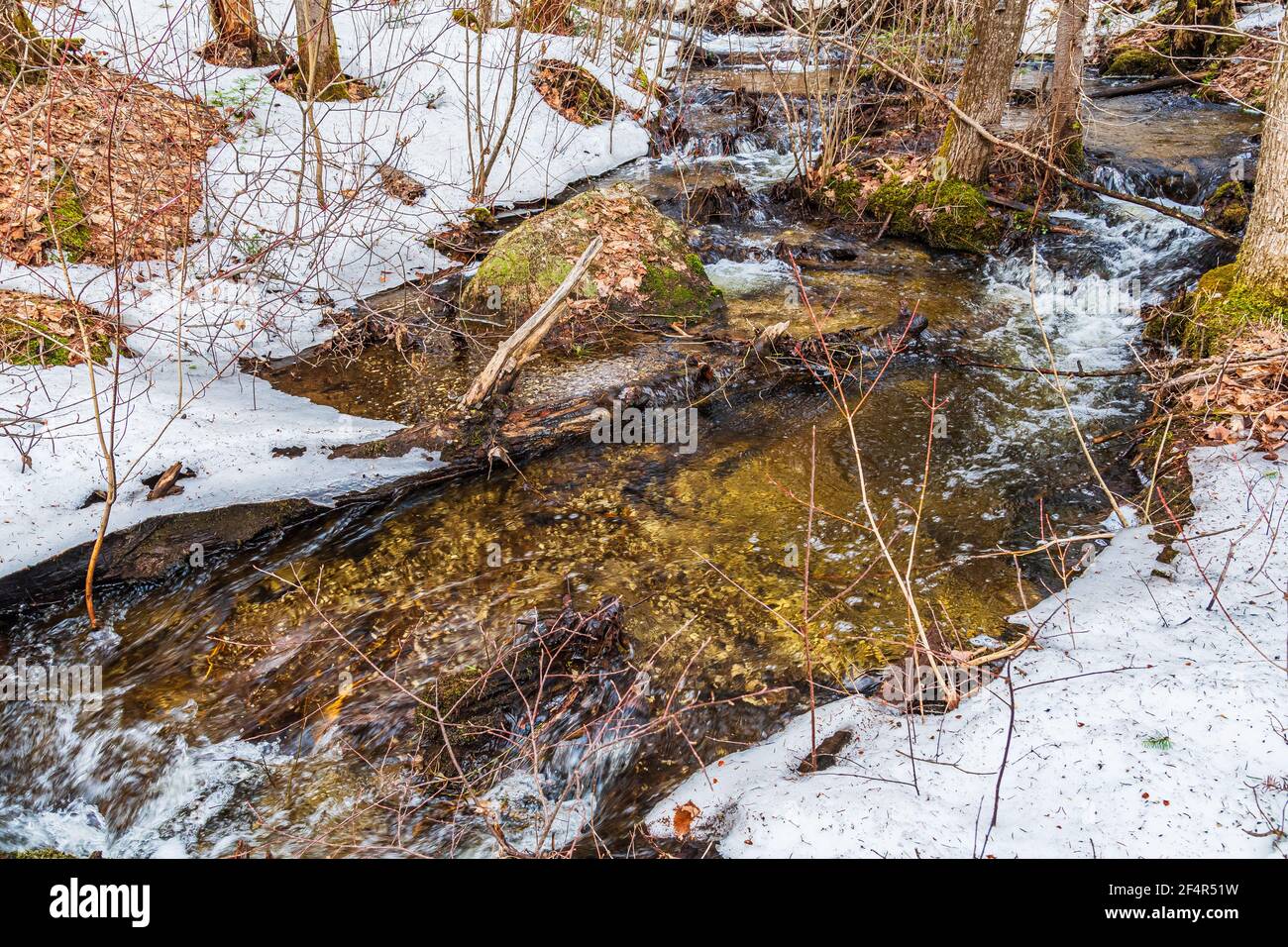 Three Brothers Waterfalls and Conservation Area Kinmount Haliburton ...