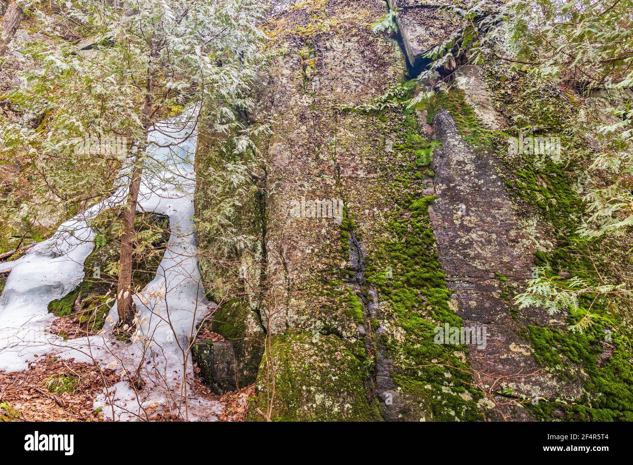 Three Brothers Waterfalls and Conservation Area Kinmount Haliburton ...