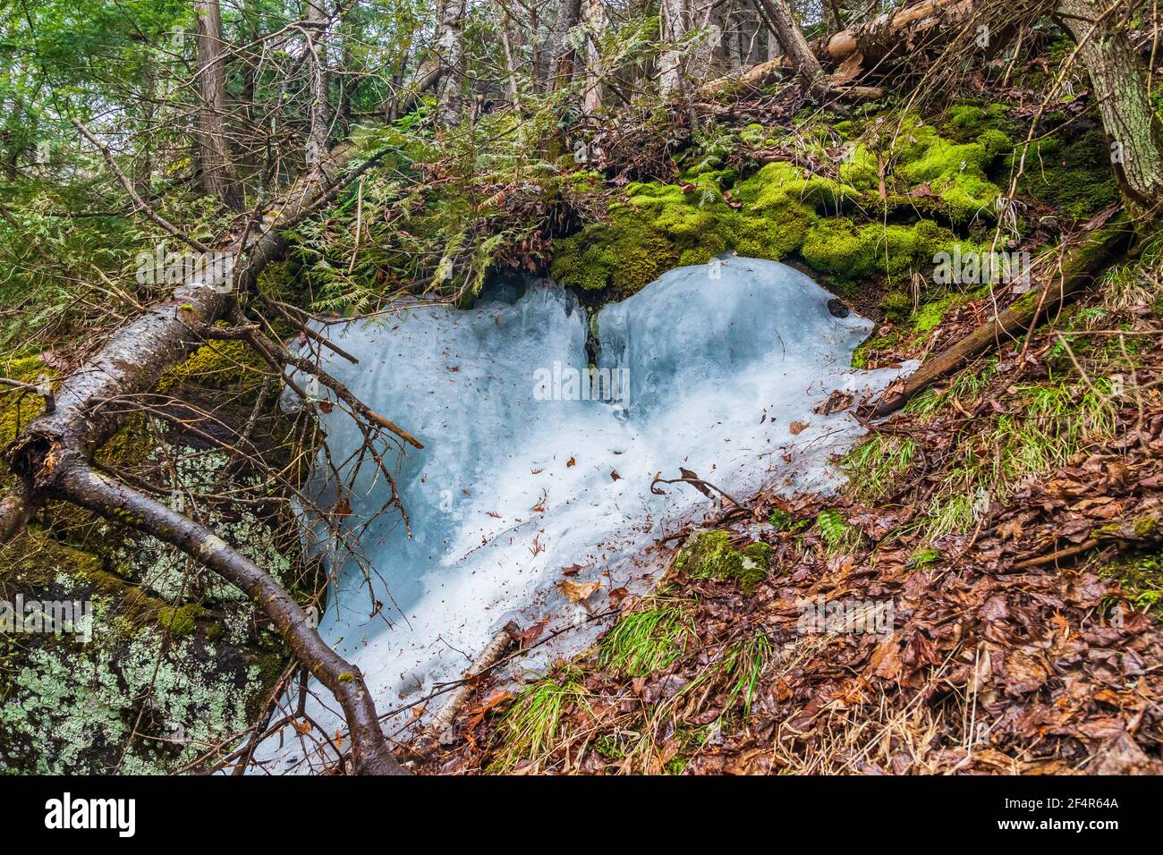 Three Brothers Waterfalls and Conservation Area Kinmount Haliburton ...