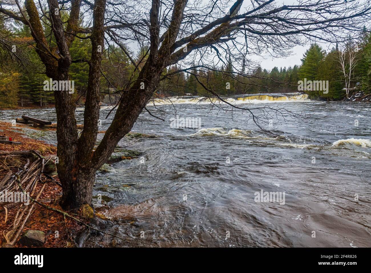 Three Brothers Waterfalls and Conservation Area Kinmount Haliburton ...