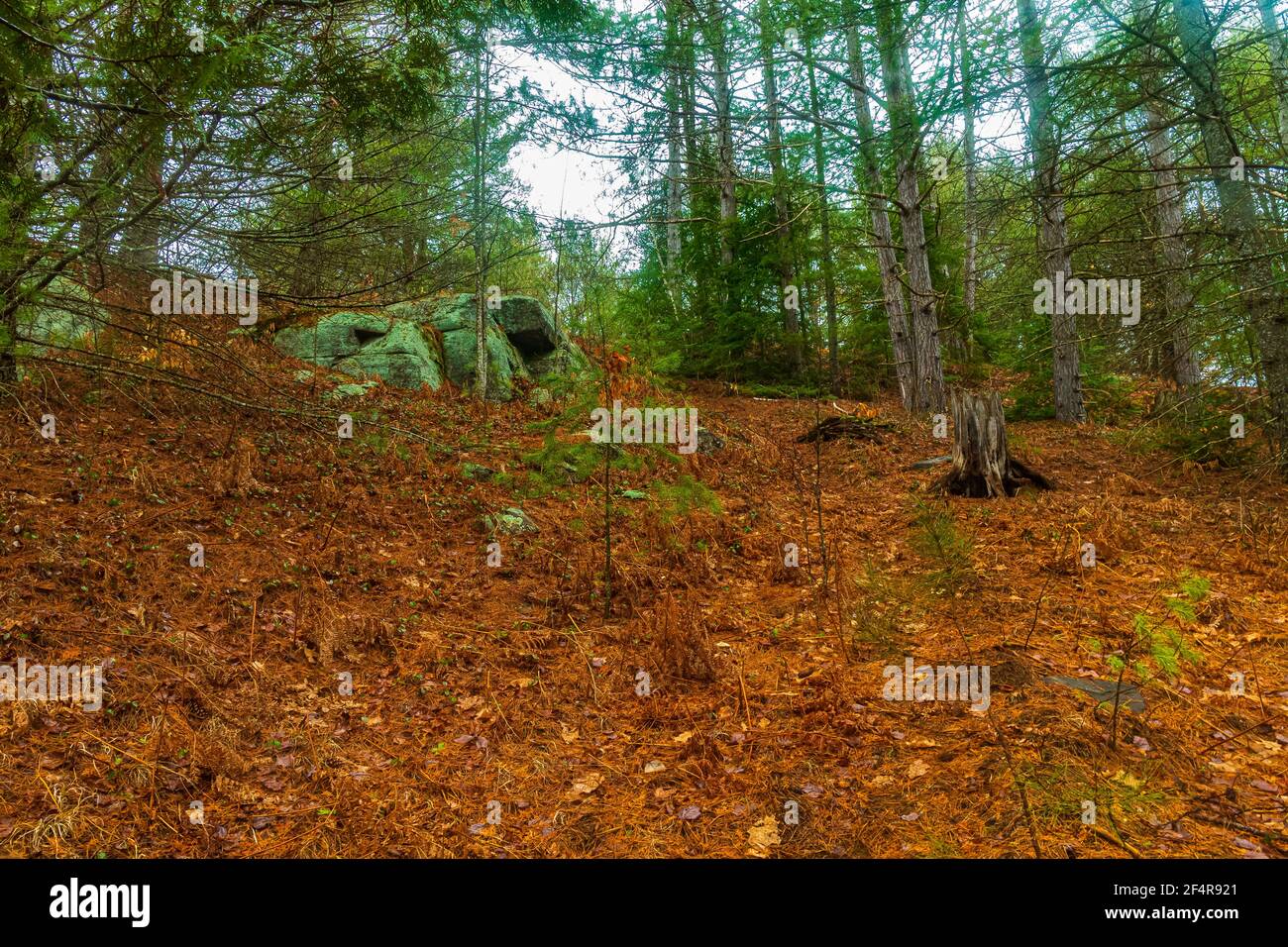 Three Brothers Waterfalls and Conservation Area Kinmount Haliburton ...
