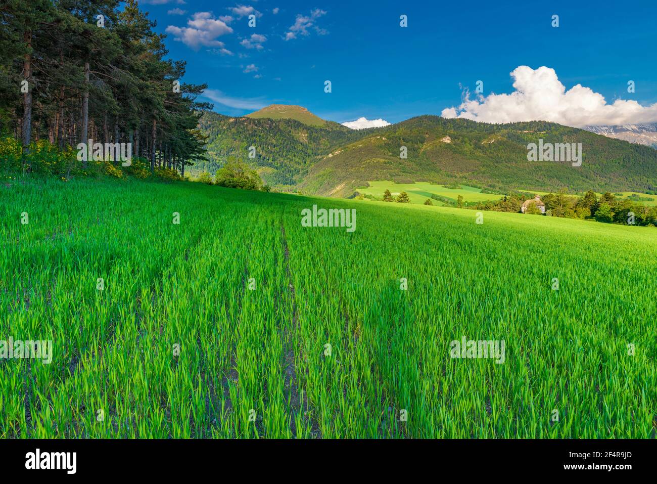 French farming landscape hi-res stock photography and images - Alamy