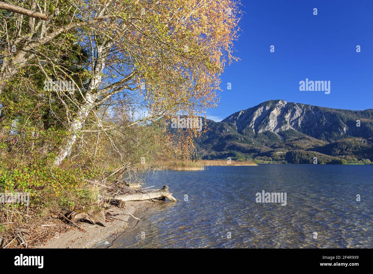 View of kochelsee lake hi-res stock photography and images - Alamy