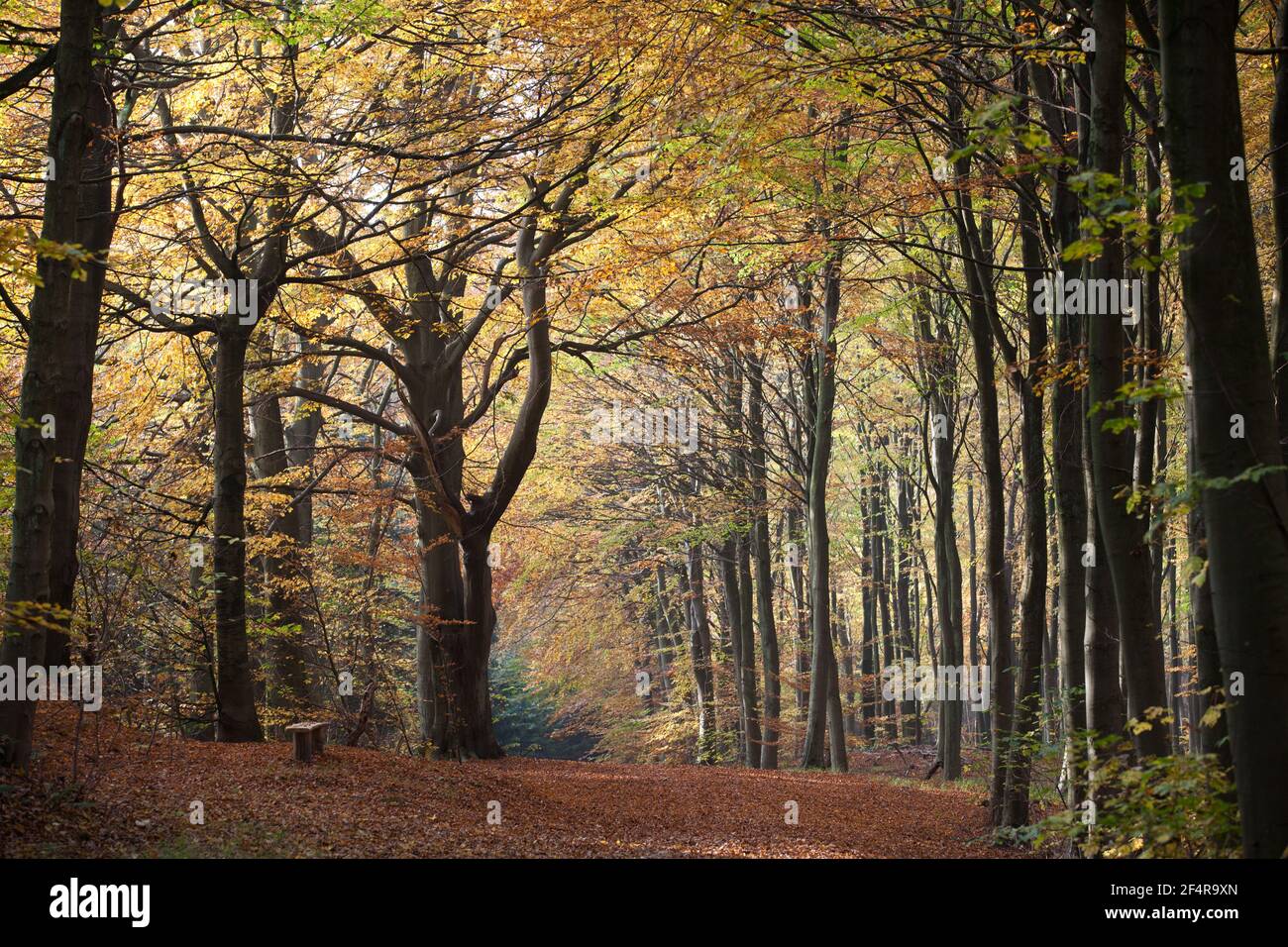 Allerød denmark hi-res stock photography and images - Alamy