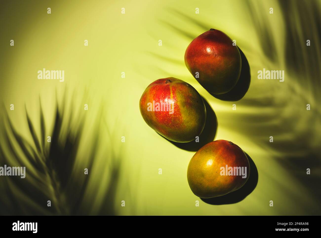 Summer mango fruits top view. Contemporary still life, lime green ...