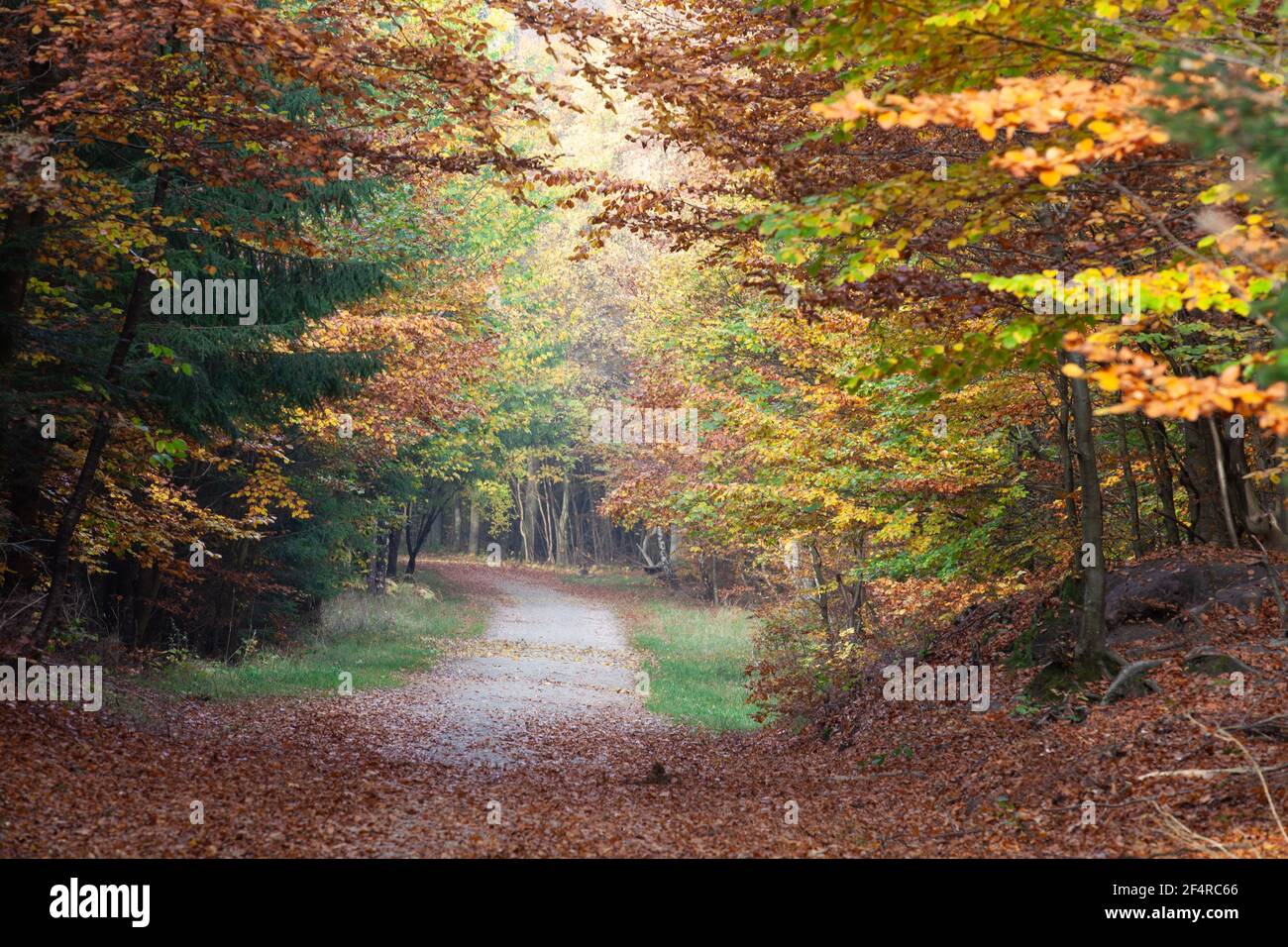 Allerød denmark hi-res stock photography and images - Alamy