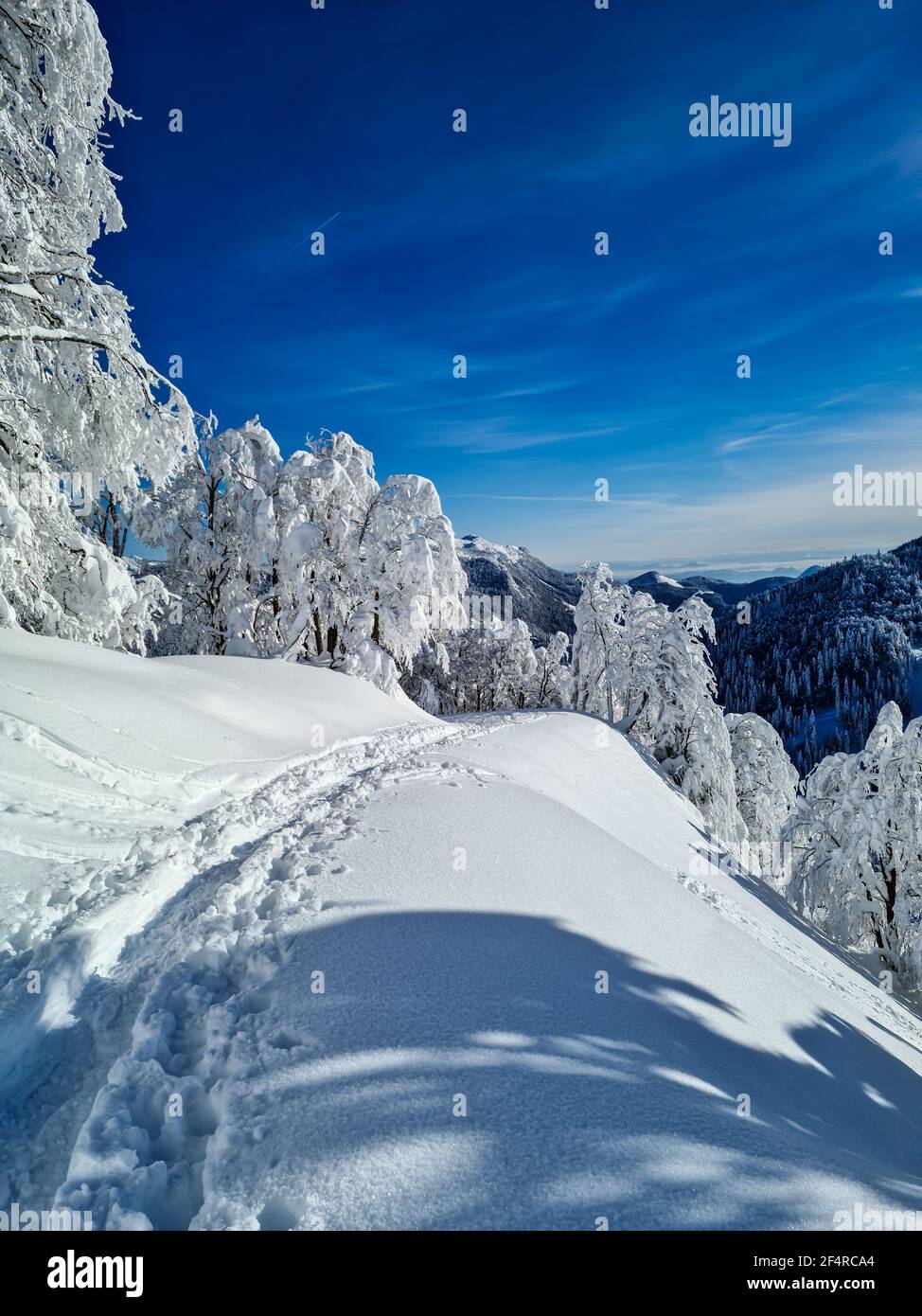 Mountain path covered in snow Stock Photo - Alamy