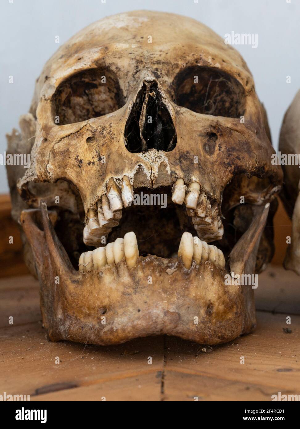 Monastery siberia hi-res stock photography and images - Alamy