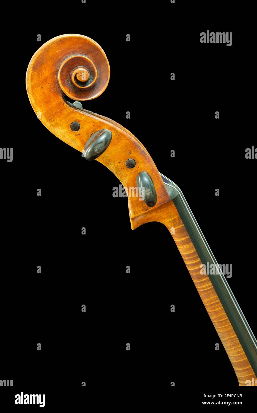Cello head em ardm spreads alog the image in diagonal line Stock Photo ...