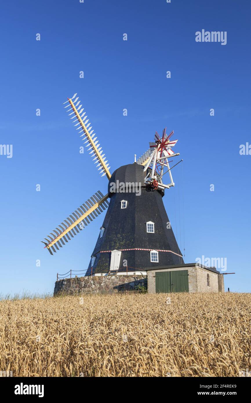 Grubbe hi-res stock photography and images - Alamy