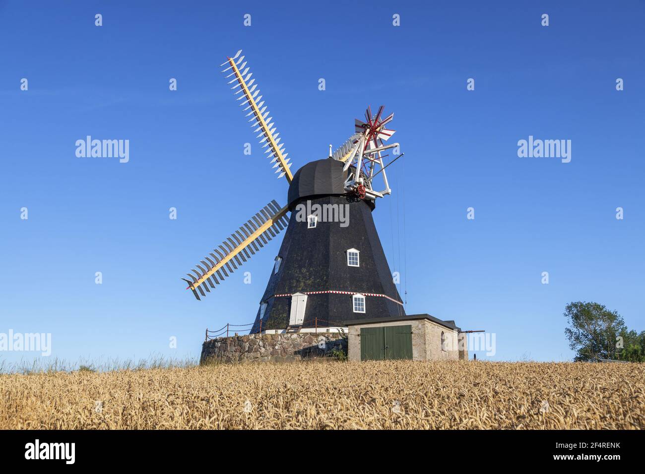 Grubbe hi-res stock photography and images - Alamy