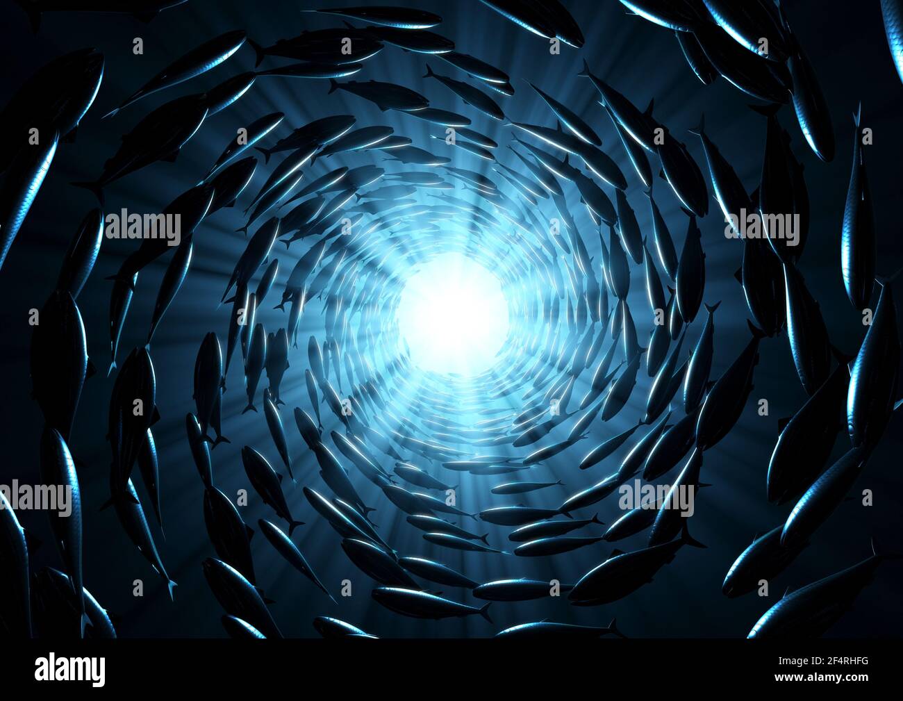 A concept underwater view of a perfect spiral of fish swimming in ...