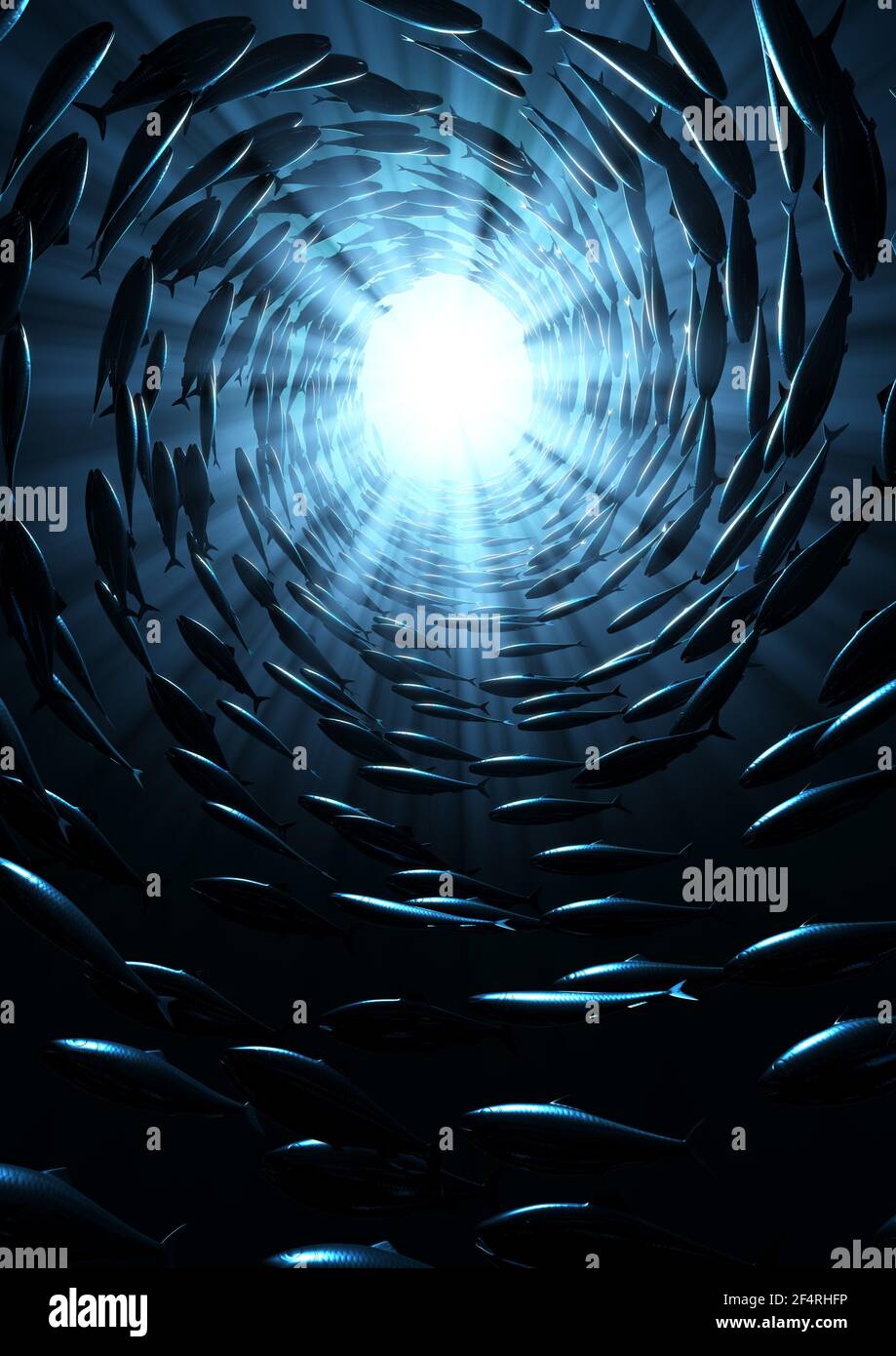 A concept underwater view of a perfect spiral of fish swimming in ...