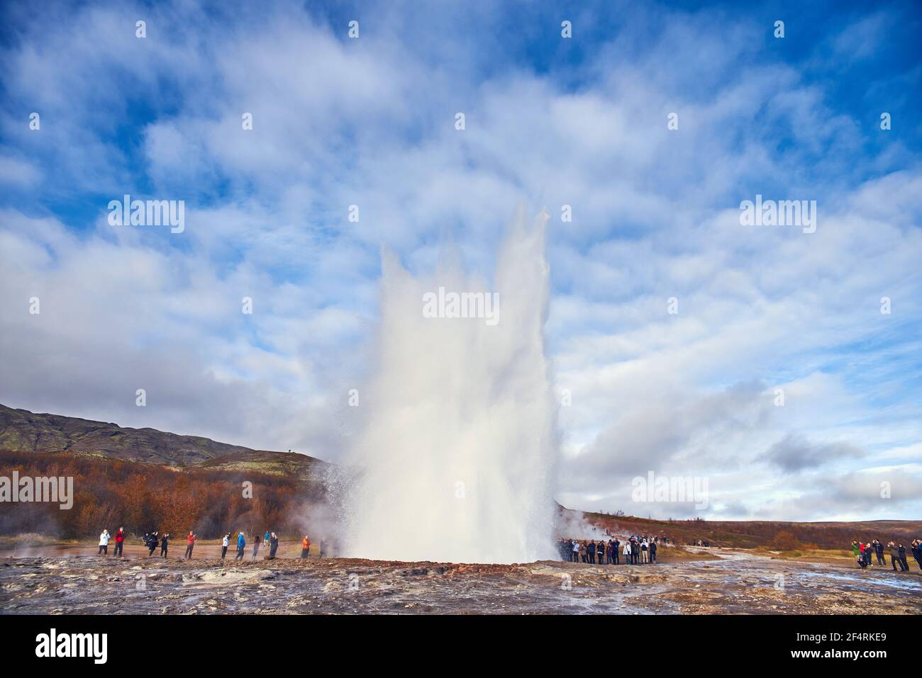 steam from geysers in Iceland in autumn Stock Photo - Alamy