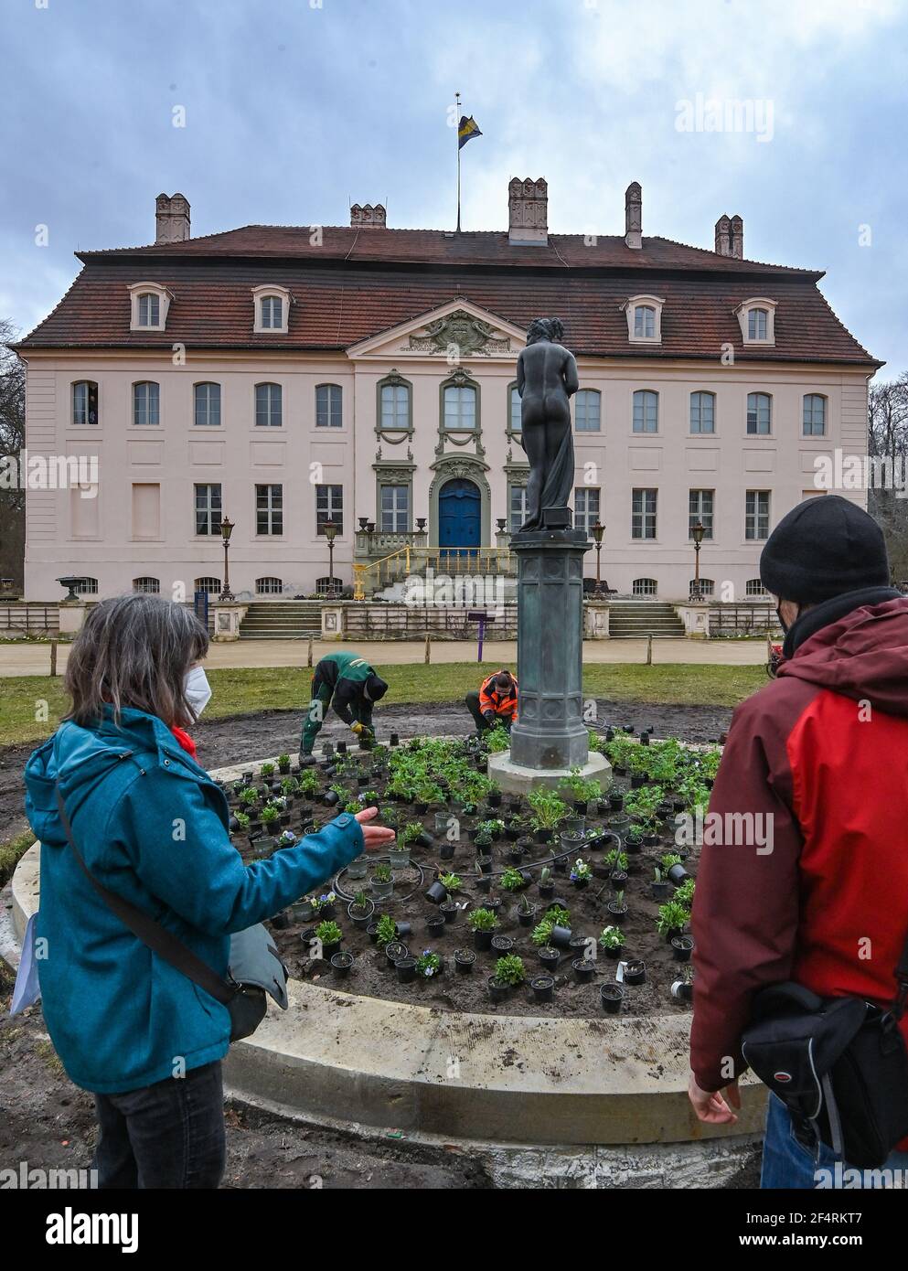 23 March 2021, Brandenburg, Cottbus: The planting with spring flowers ...