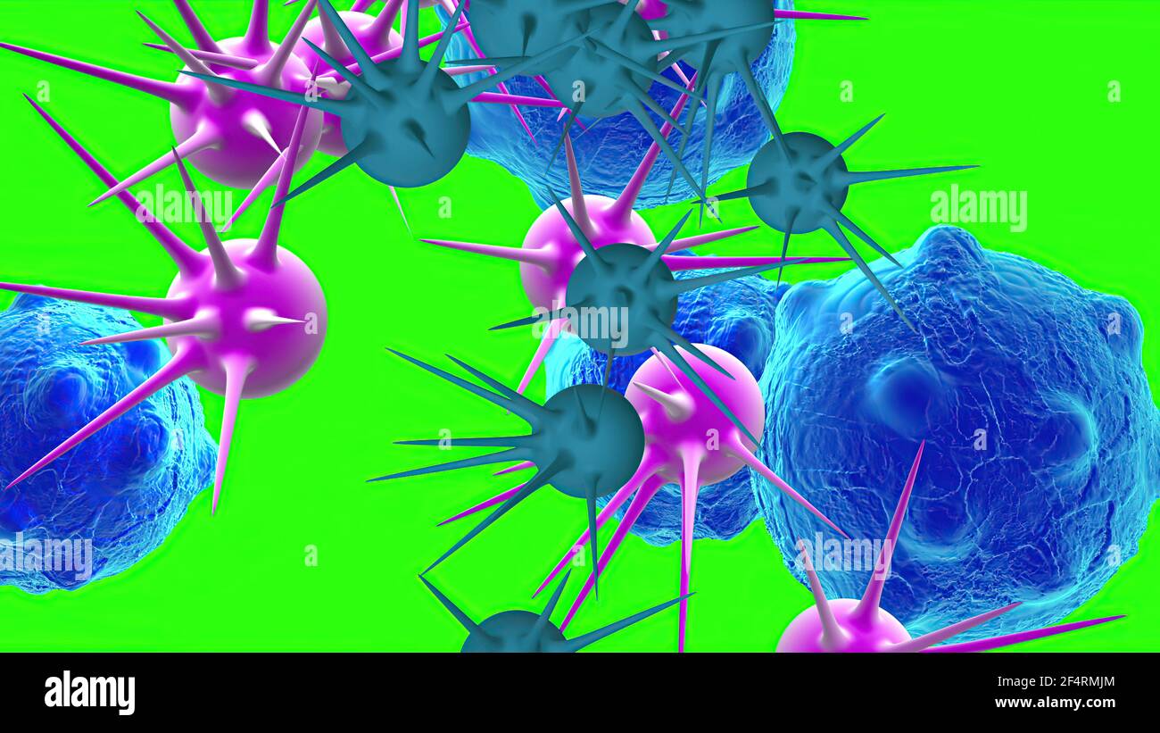 cancer cells with high details on green screen Stock Photo - Alamy