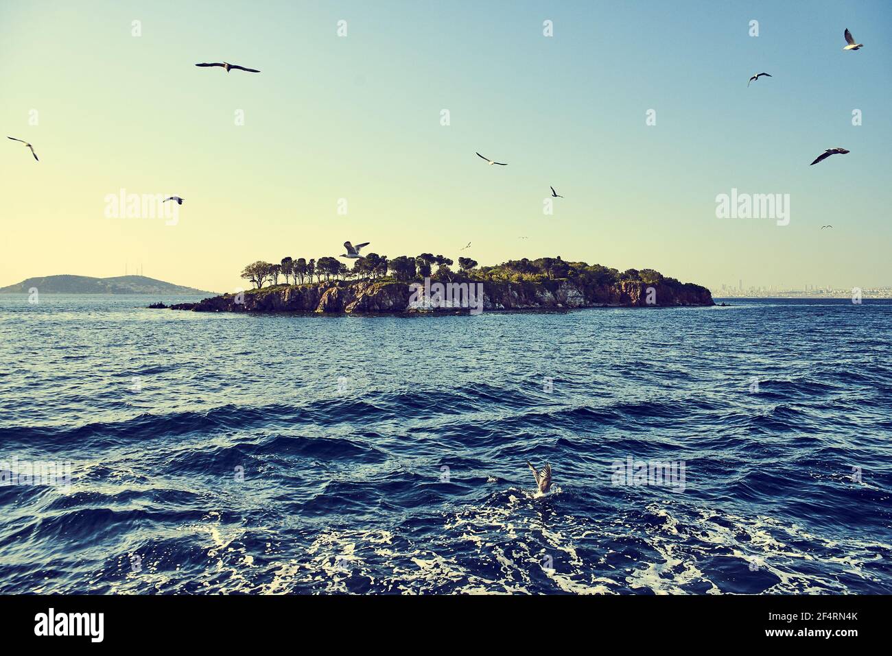 Marmara sea island hi-res stock photography and images - Alamy