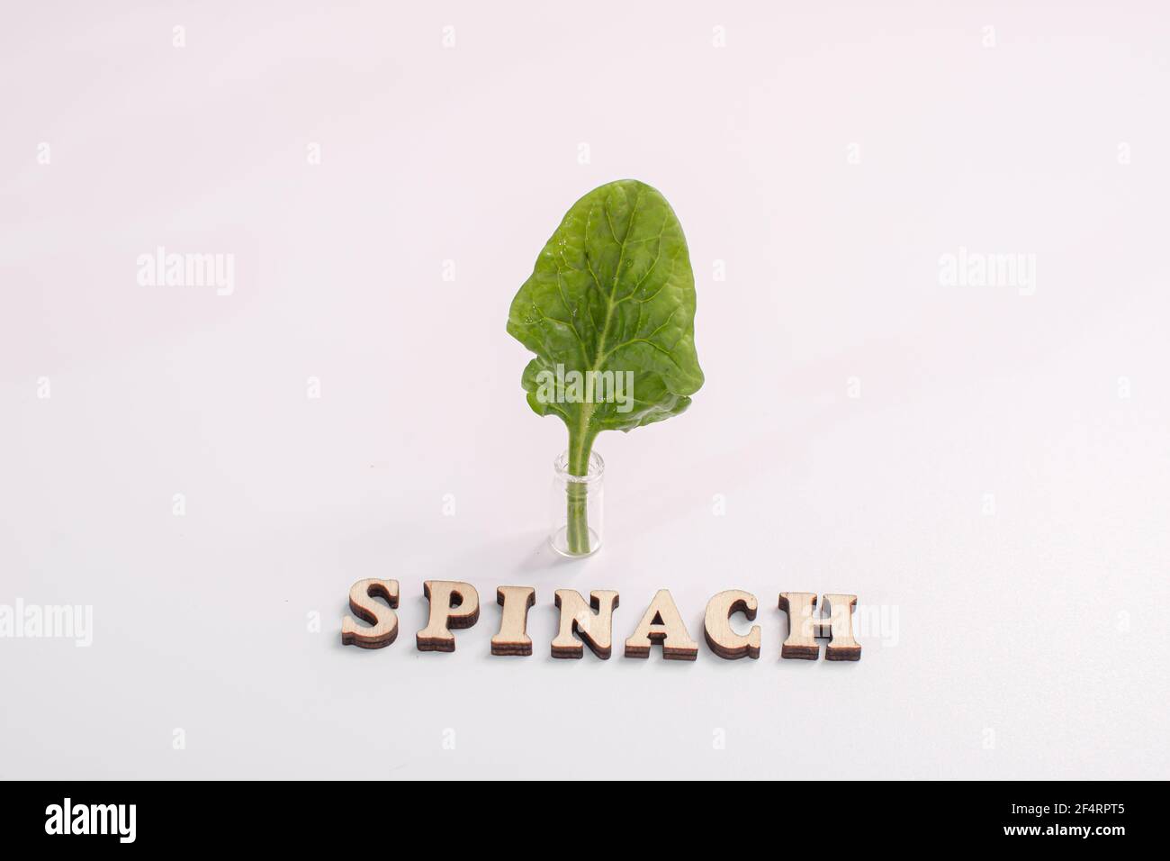 Baby Leaf Spinach Cut Out High Resolution Stock Photography and Images ...